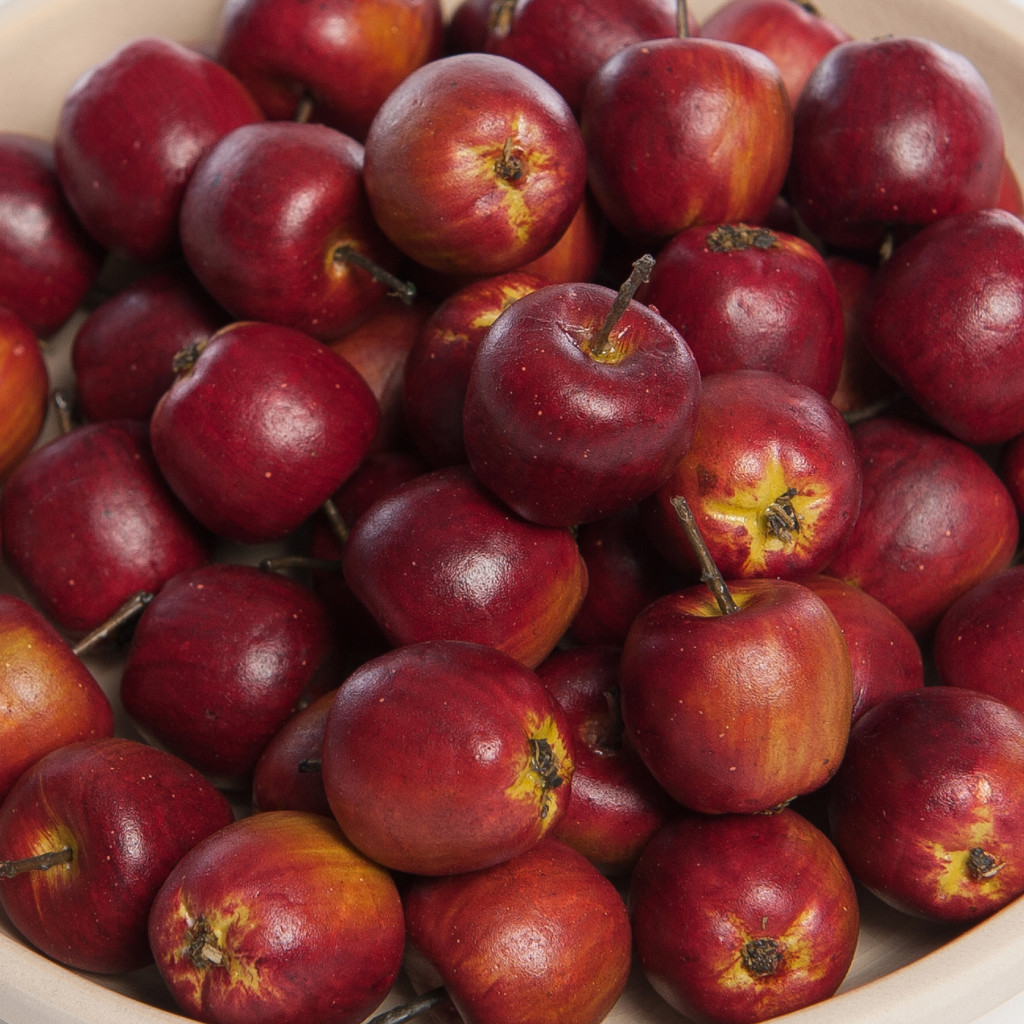 Mini Apple – Red | Justice Distribution